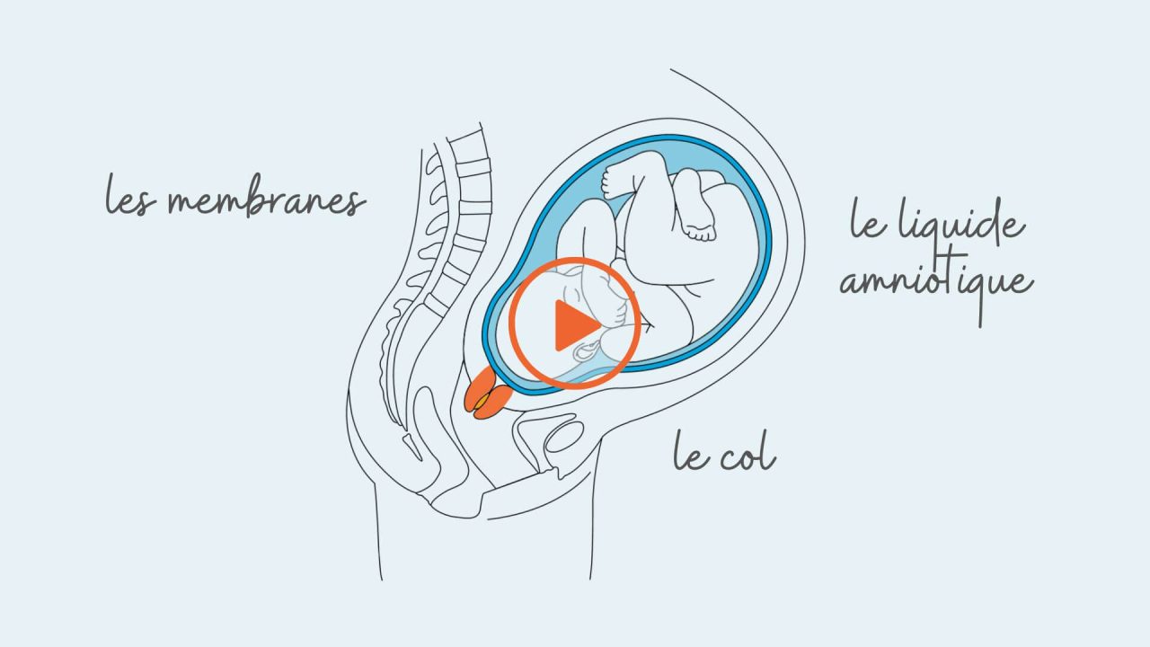 Préparation à l'accouchement - OPALEO Naissance